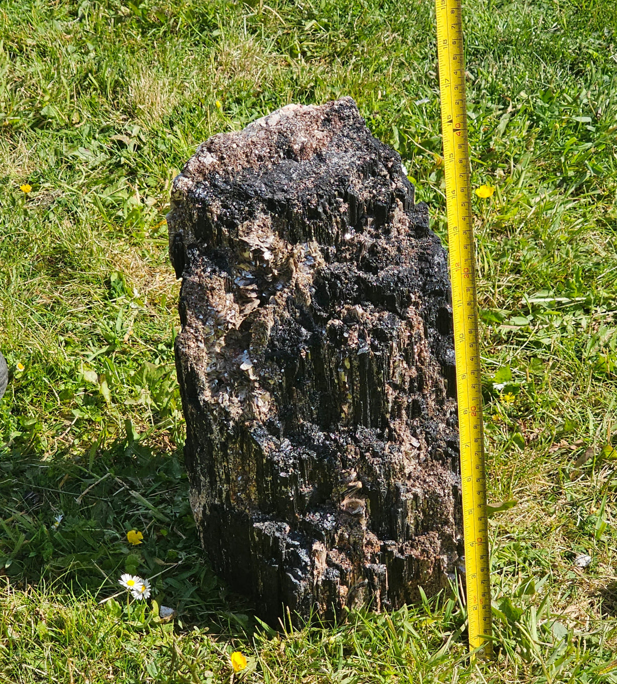 Very Large Black Tourmaline Crystal With Mica 21 KG – Distinction Crystals