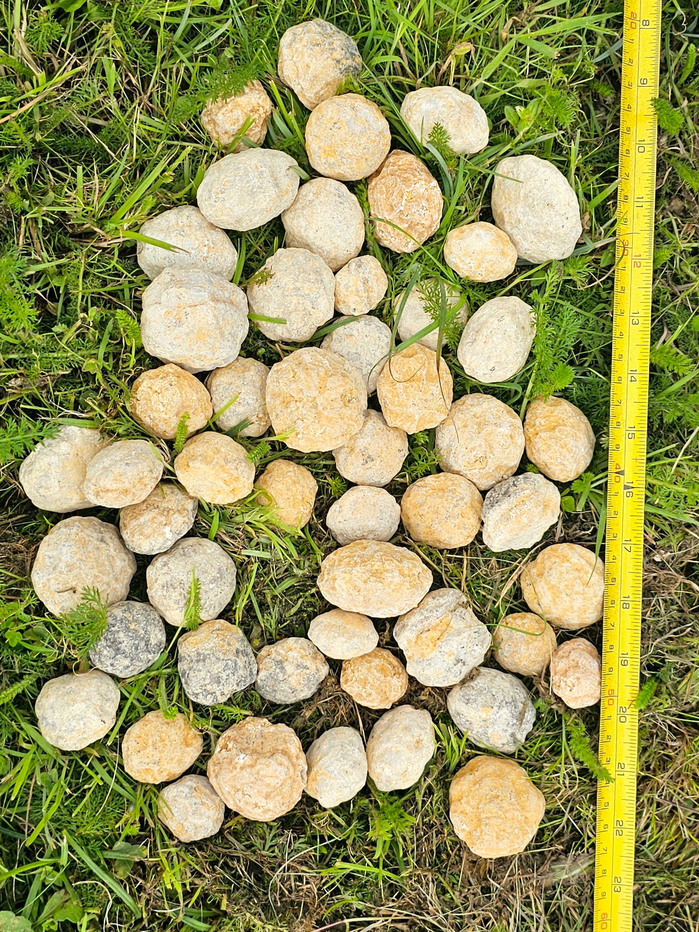 Unbroken Quartz Crystal Geodes - Break open your own geode ...