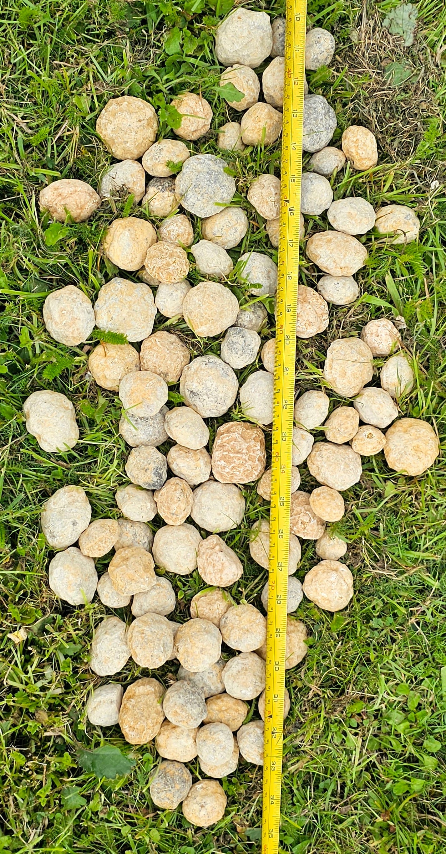 Unbroken Quartz Crystal Geodes - Break open your own geode ...