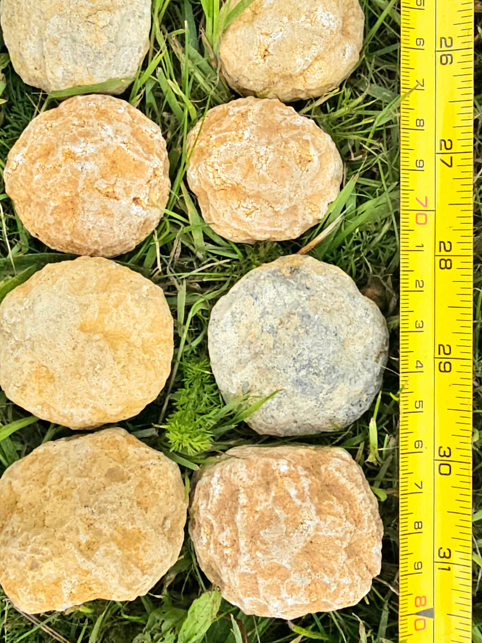 Unbroken Quartz Crystal Geodes - Break open your own geode ...