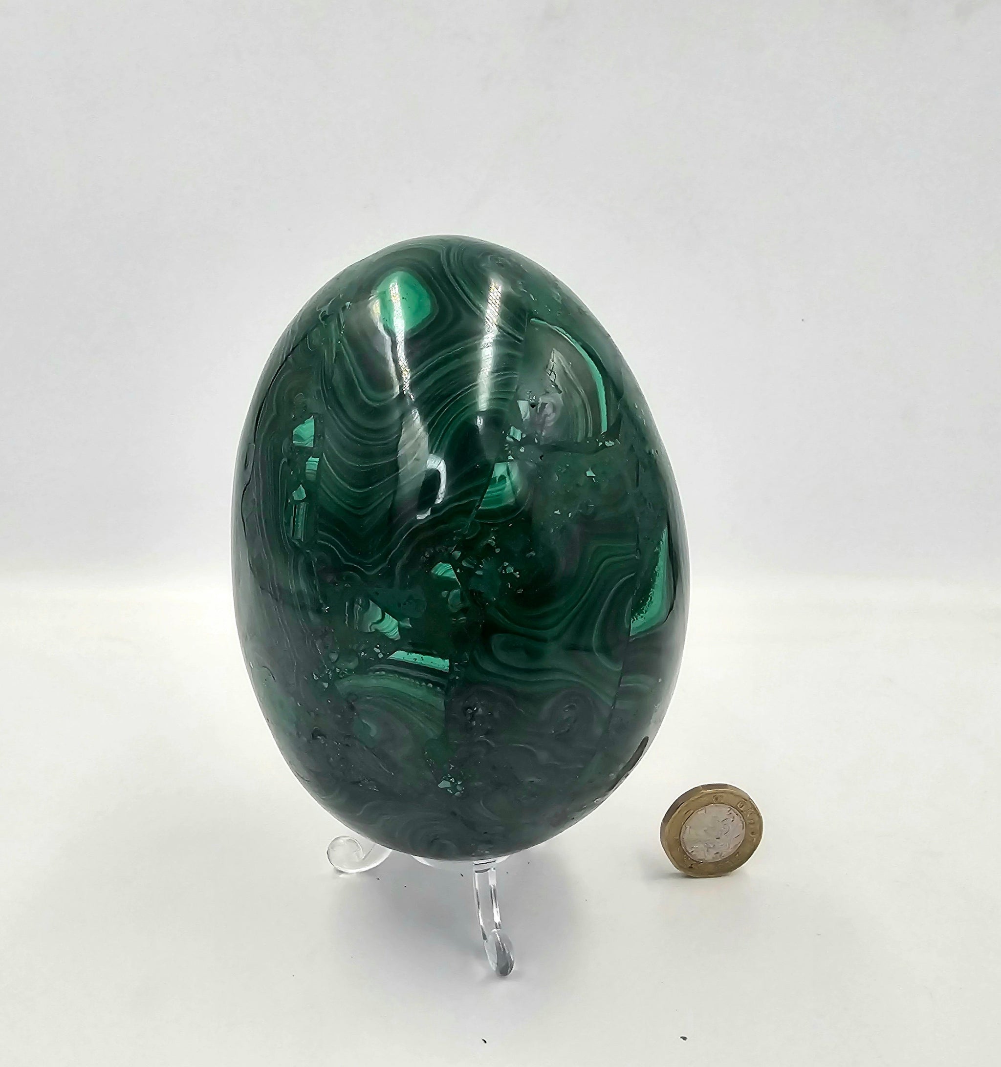 Large Malachite Crystal Egg (#11) – Distinction Crystals