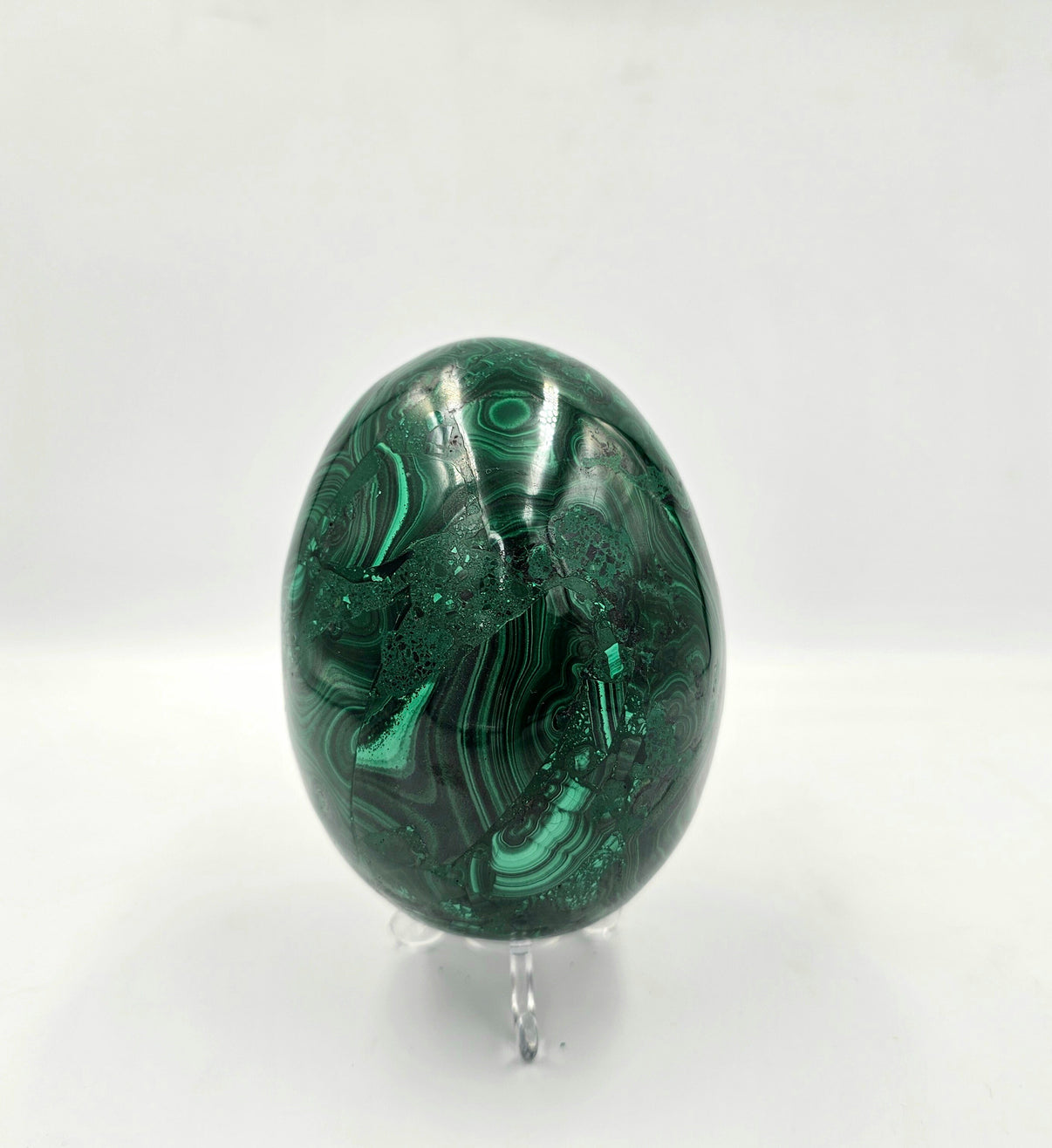 Large Malachite Crystal Egg (#11) – Distinction Crystals