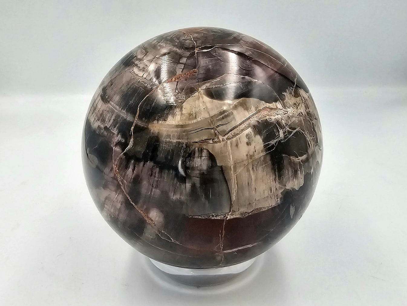 Large Petrified Fossil Wood / Crystal Sphere 3.87KG – Distinction Crystals