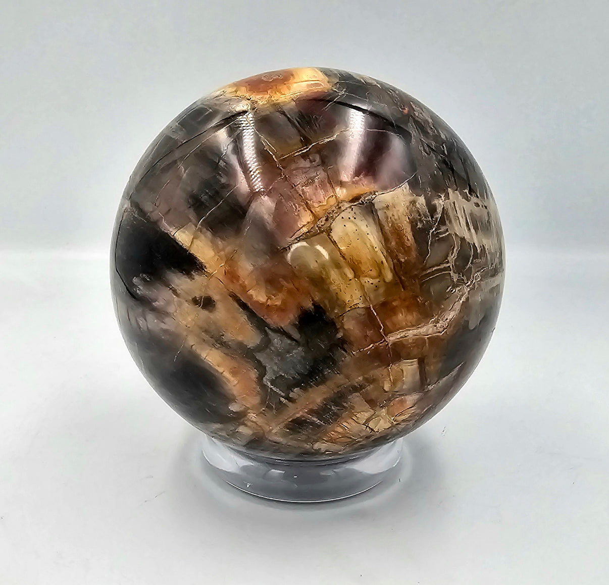 Large Petrified Fossil Wood / Crystal Sphere 3.87KG – Distinction Crystals