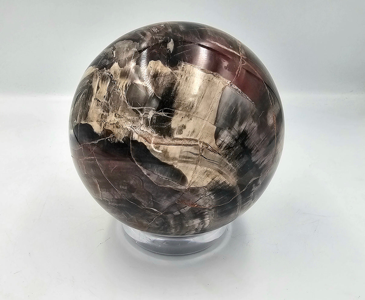 Large Petrified Fossil Wood / Crystal Sphere 3.87KG – Distinction Crystals