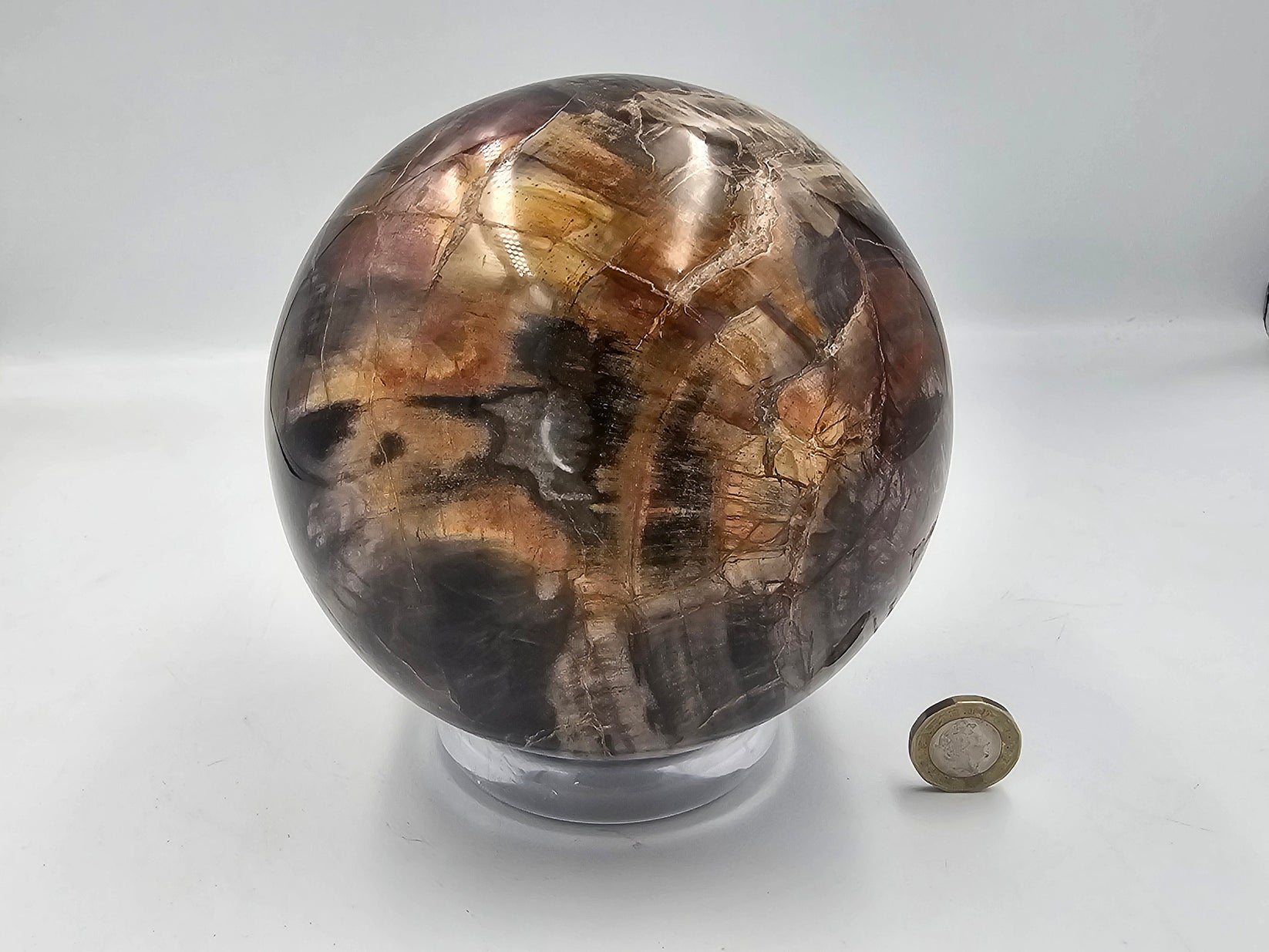 Large Petrified Fossil Wood / Crystal Sphere 3.87KG – Distinction Crystals