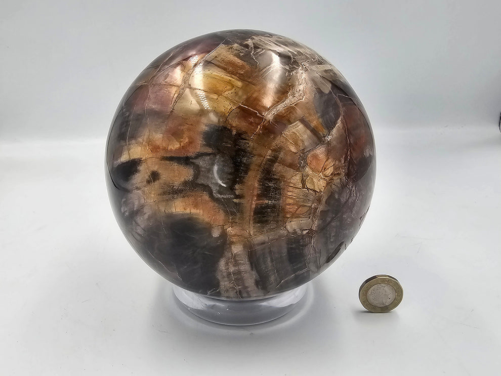 Large Petrified Fossil Wood / Crystal Sphere 3.87KG – Distinction Crystals