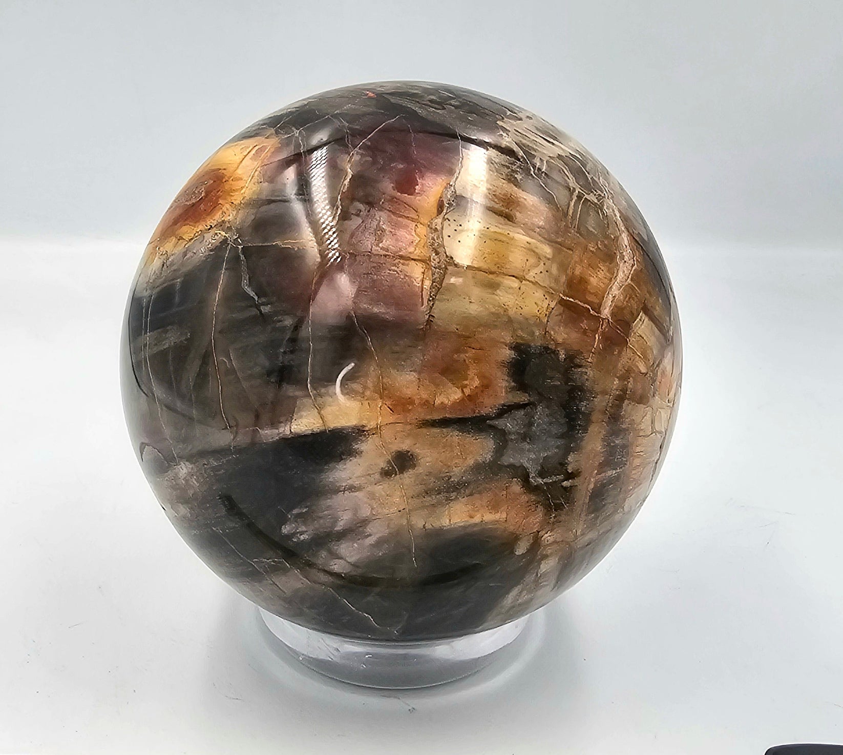 Large Petrified Fossil Wood / Crystal Sphere 3.87KG – Distinction Crystals
