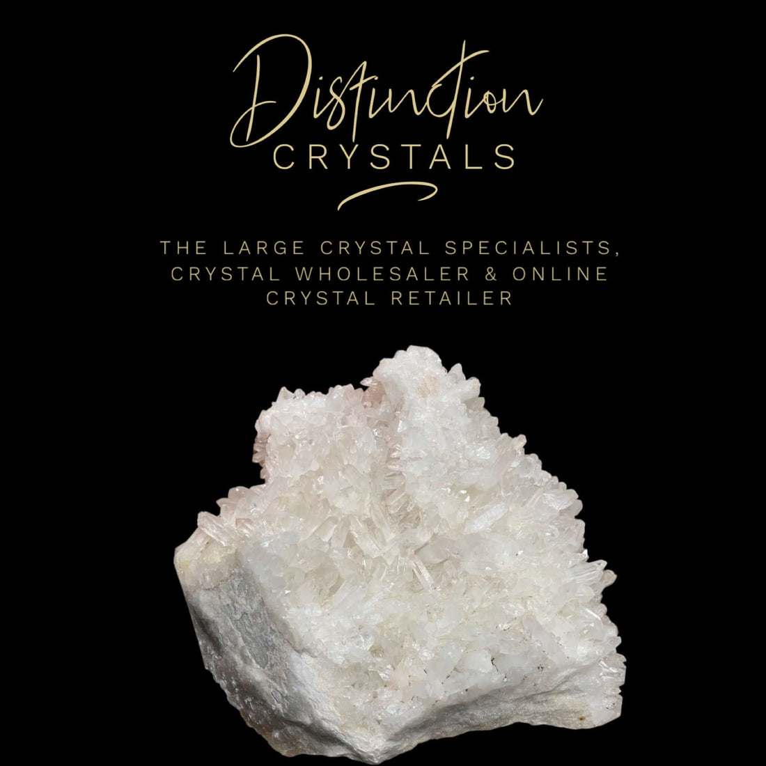 Distinction Crystals & Fossils