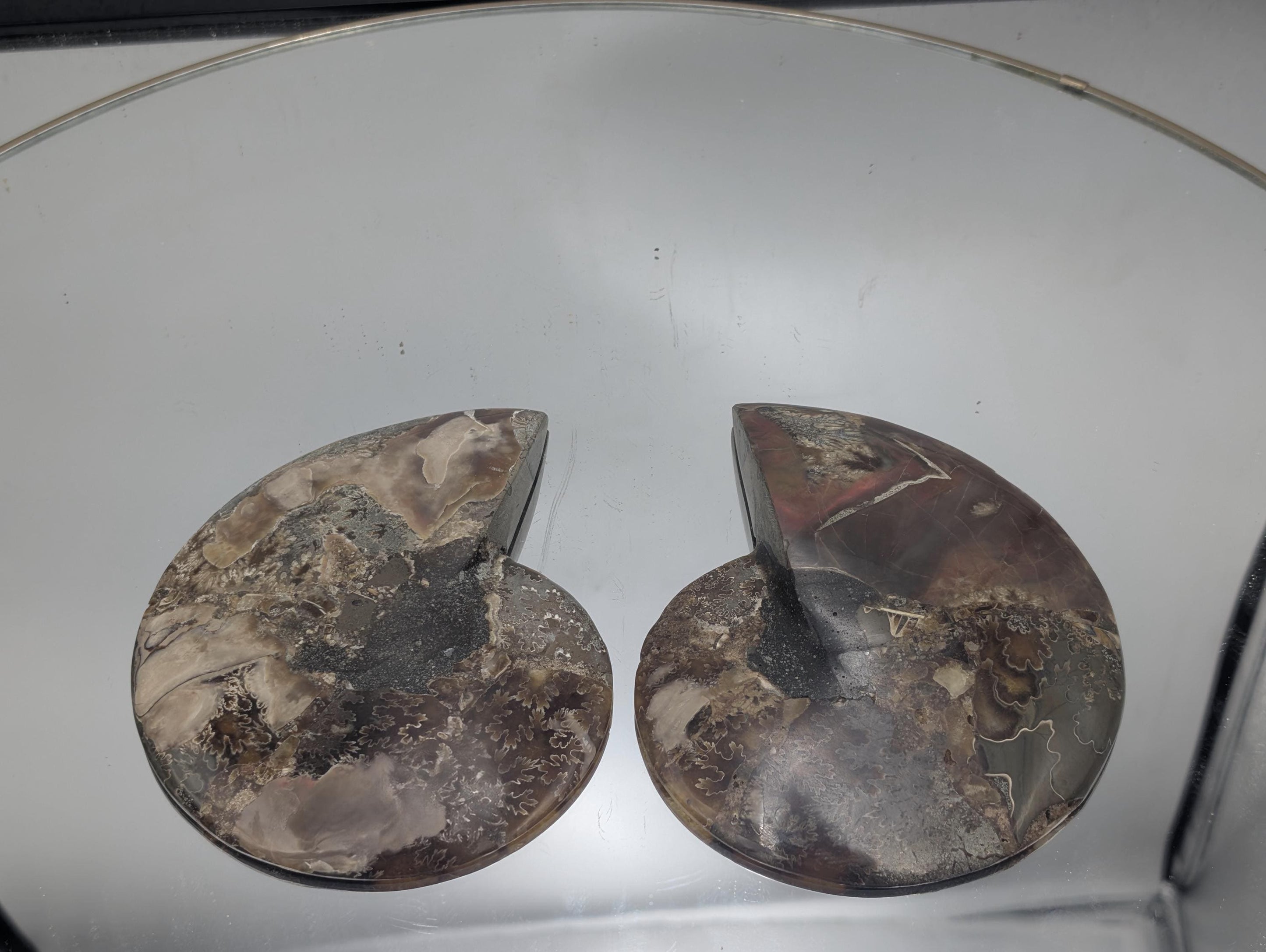 Opalised Red Ammonite Fossil Pair – Exceptional Quality – Distinction ...