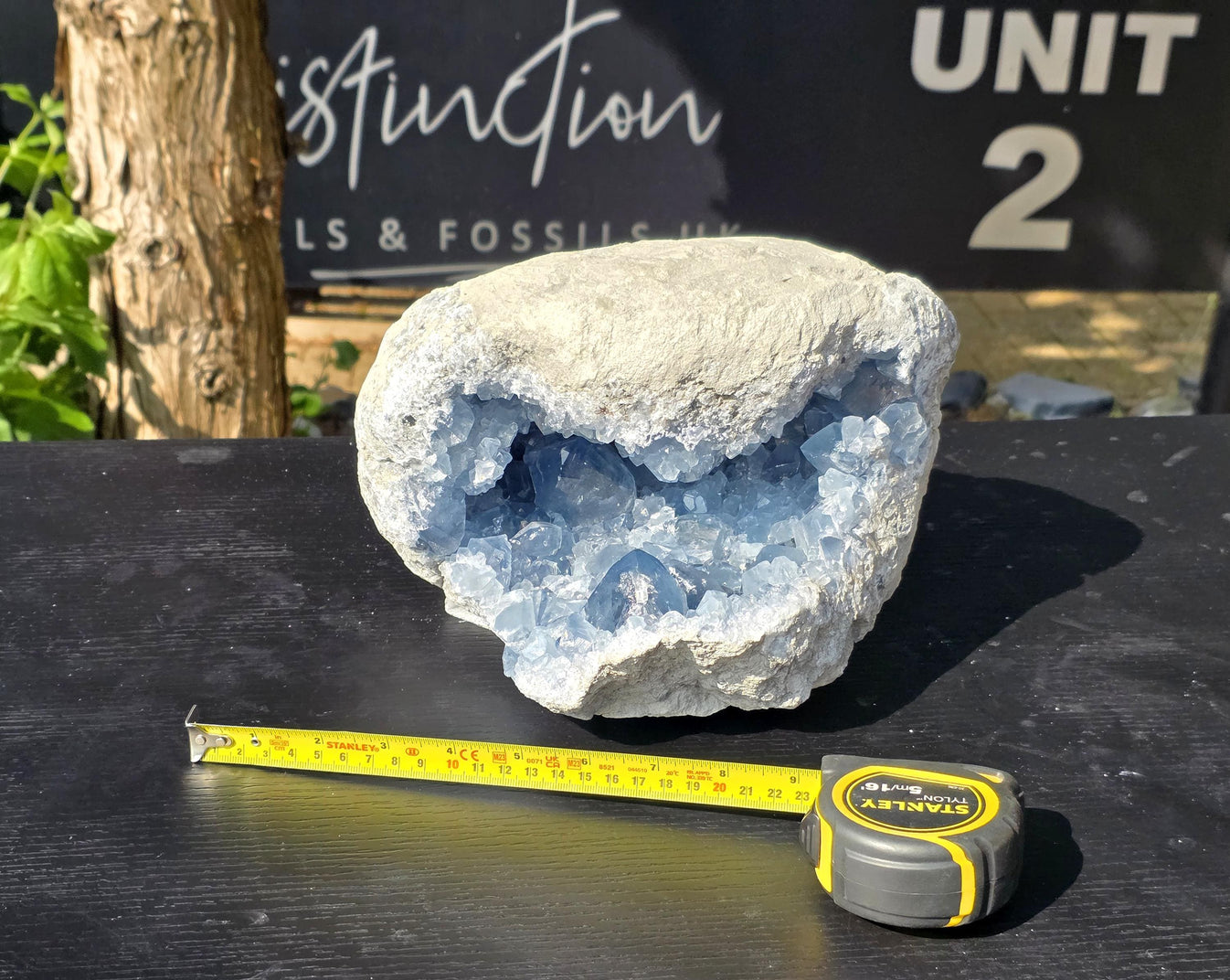 Celestite Crystal Extra Large Geode Cave – Distinction Crystals