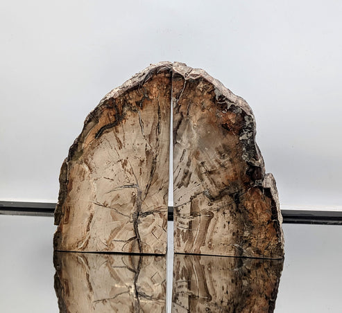 Fossil Wood Bookends | Crystal Home Décor – Distinction Crystals