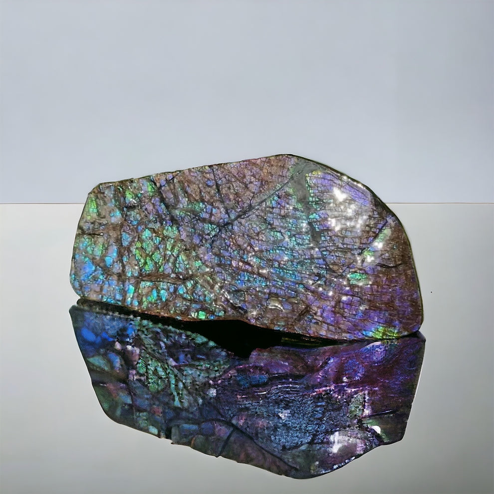 Large Ammolite Crystal Gemstone – Distinction Crystals