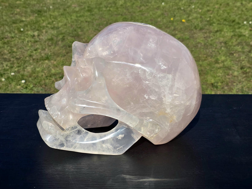 Extra Large Rose Quartz Crystal Skull – 14KG – Distinction Crystals