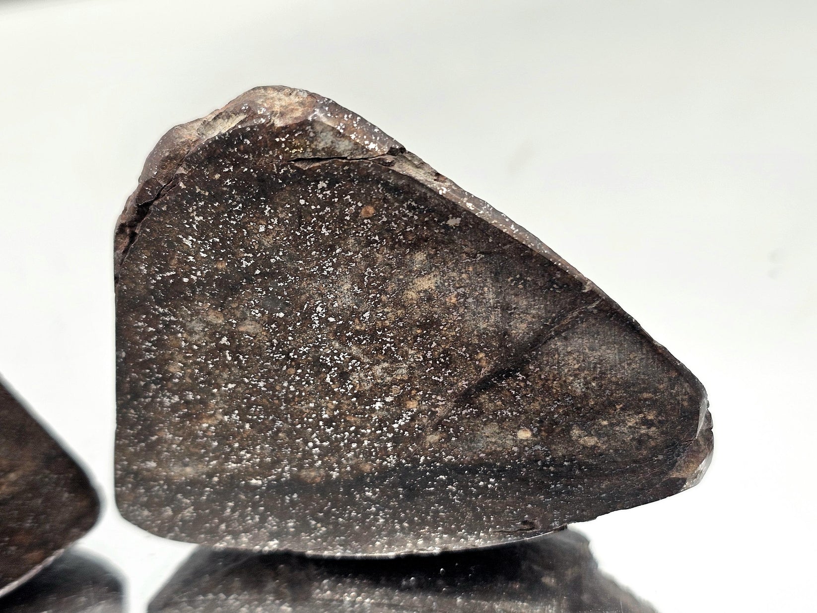 Chondrite Meteorite Pair – Cut & Polished – Distinction Crystals