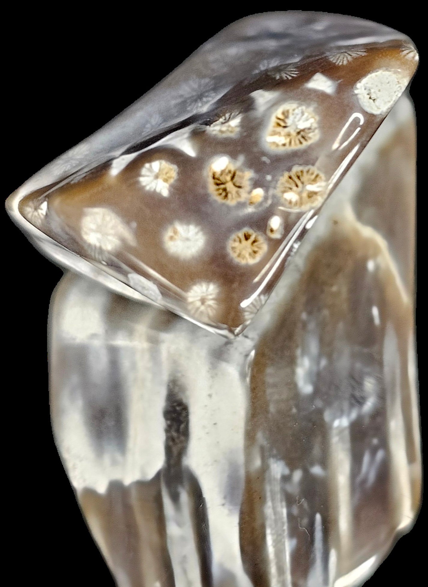 Rare Agate Coral Crystal Fossil - UK tumblestone (#21) – Distinction ...